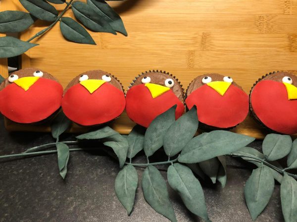 Recipe - Infants - Robin Cupcakes | Time to Cook